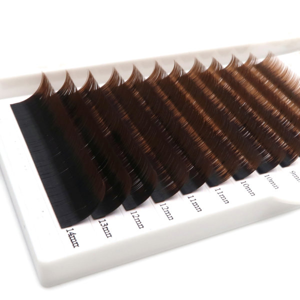 Korean PBT Fiber Lashes Coffee Ombre Color Lash Tray Wholesale Our Lash ...